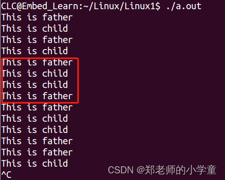 Linux进程——vfork函数-CSDN博客