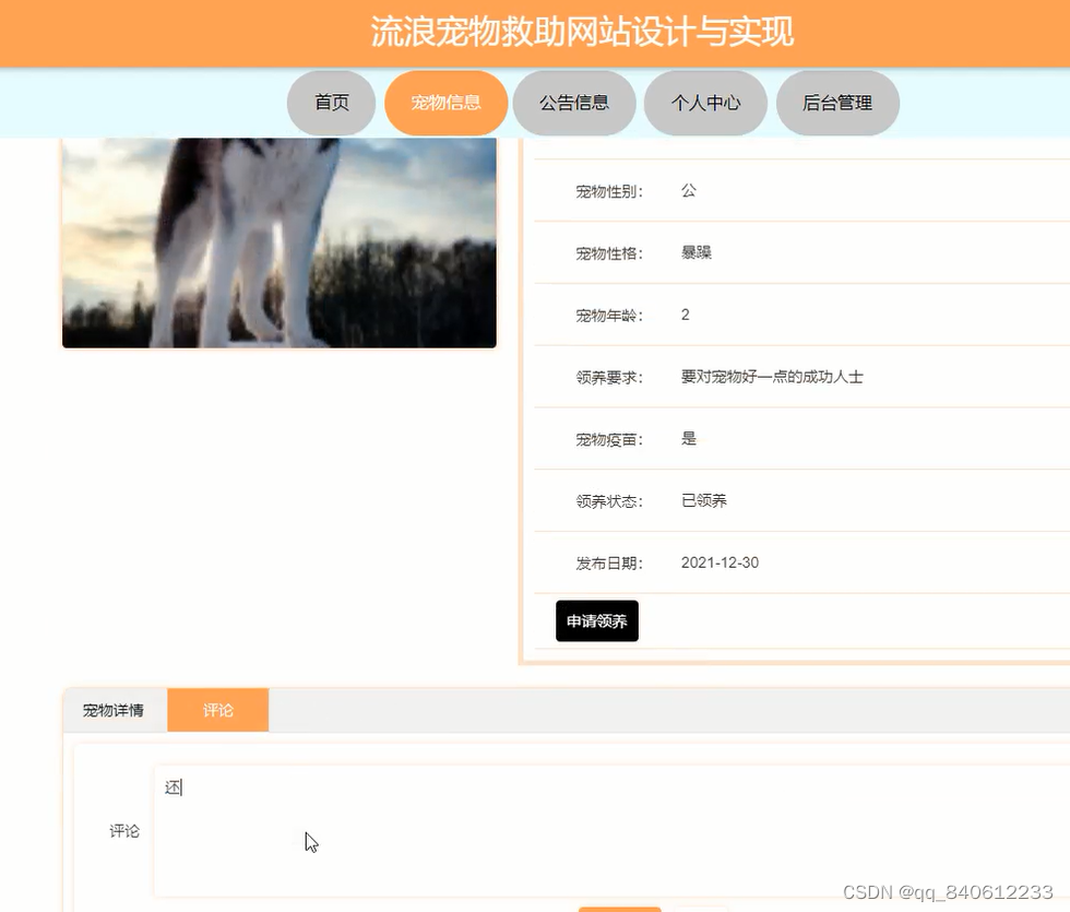 nodejs+vue+elementui在线公益-帮助流浪动物网站python java_基于javascript的流浪动物救助网站-CSDN博客