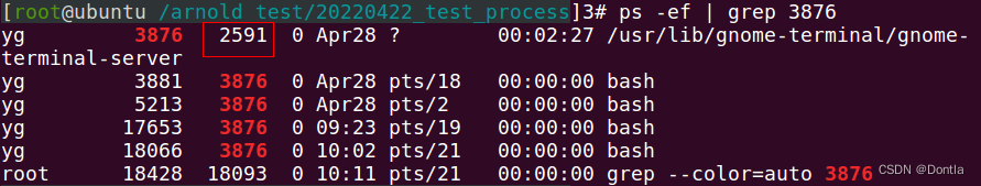 linux C/C++多进程教程（多进程原理以及多进程的应用【以多连接socket服务端为例（fork子进程处理socket_fd），同时介绍了僵尸进程产生原因与解决方法】）（getpid ...