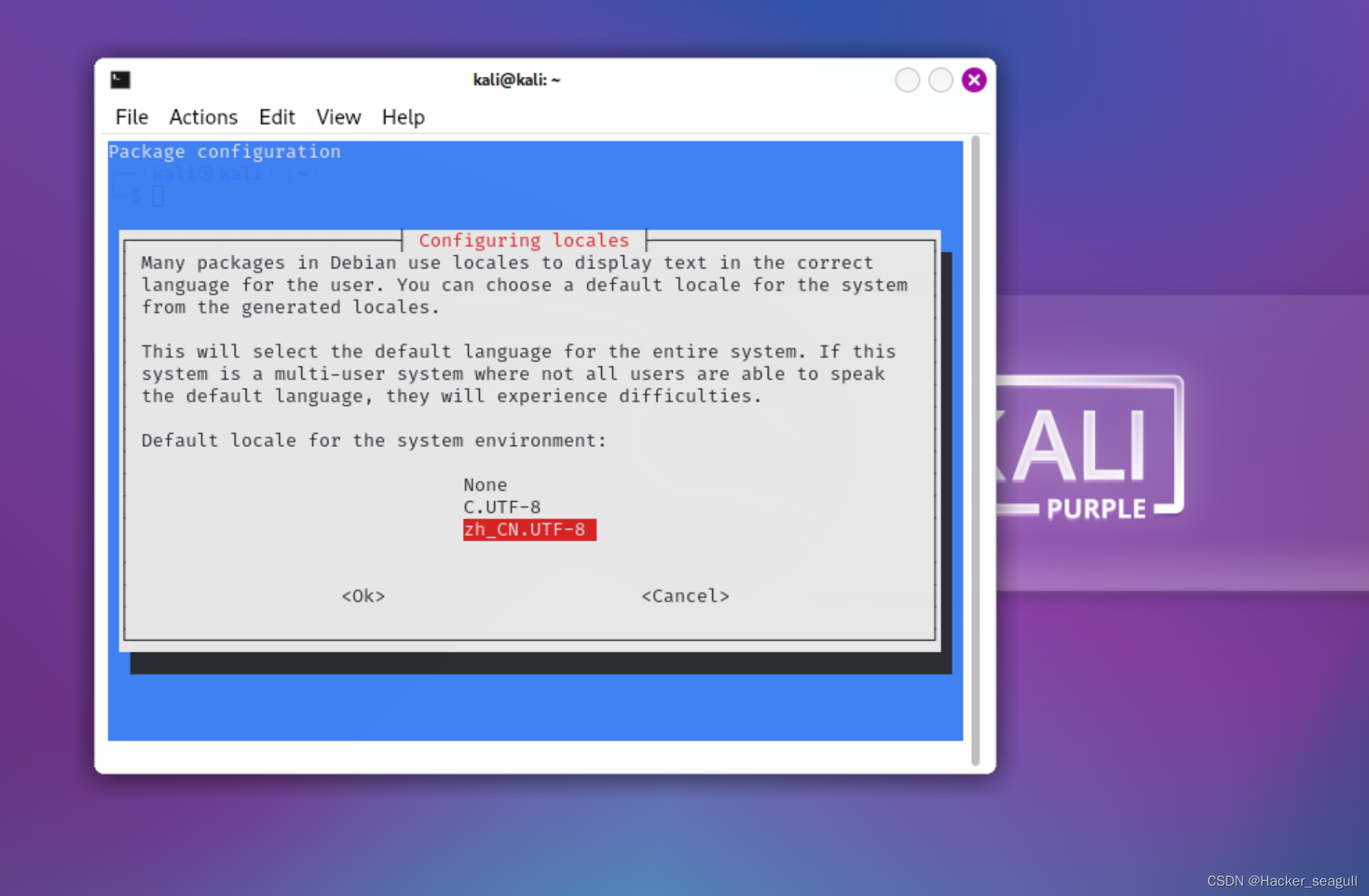 Kali Purple-2023（kali紫）汉化教程超详细版（该教程也适用于其他版本kali ）-CSDN博客