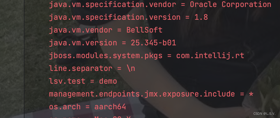 java 溯本求源之基础（二）之java -D 与java -X-CSDN博客