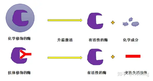 qPCR（荧光定量PCR）的Ct值_qpcr ct值-CSDN博客