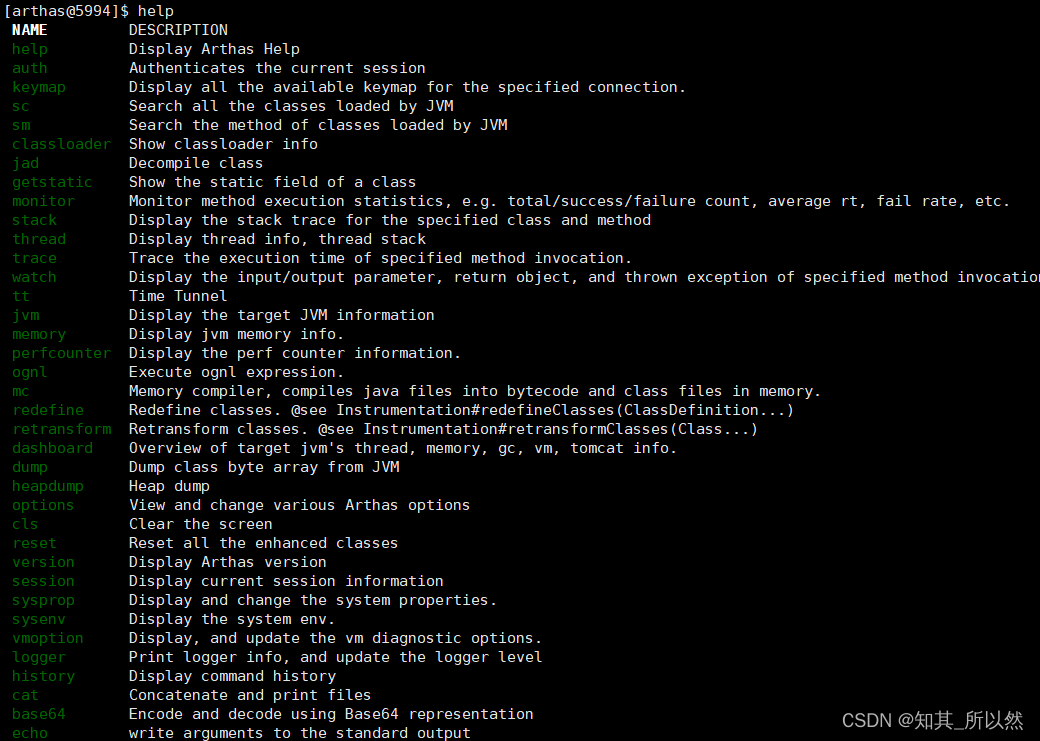 Java诊断工具--Arthas安装和基本使用_java 安装arths-CSDN博客