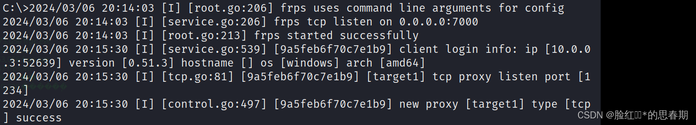 frp内网穿透(socks隧道)_frp socks5-CSDN博客