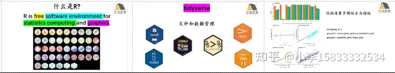利用piecewiseSEM解决构建结构方程模型过程中的众多困扰_用pieceviewsem进行结构方程模型分析-CSDN博客