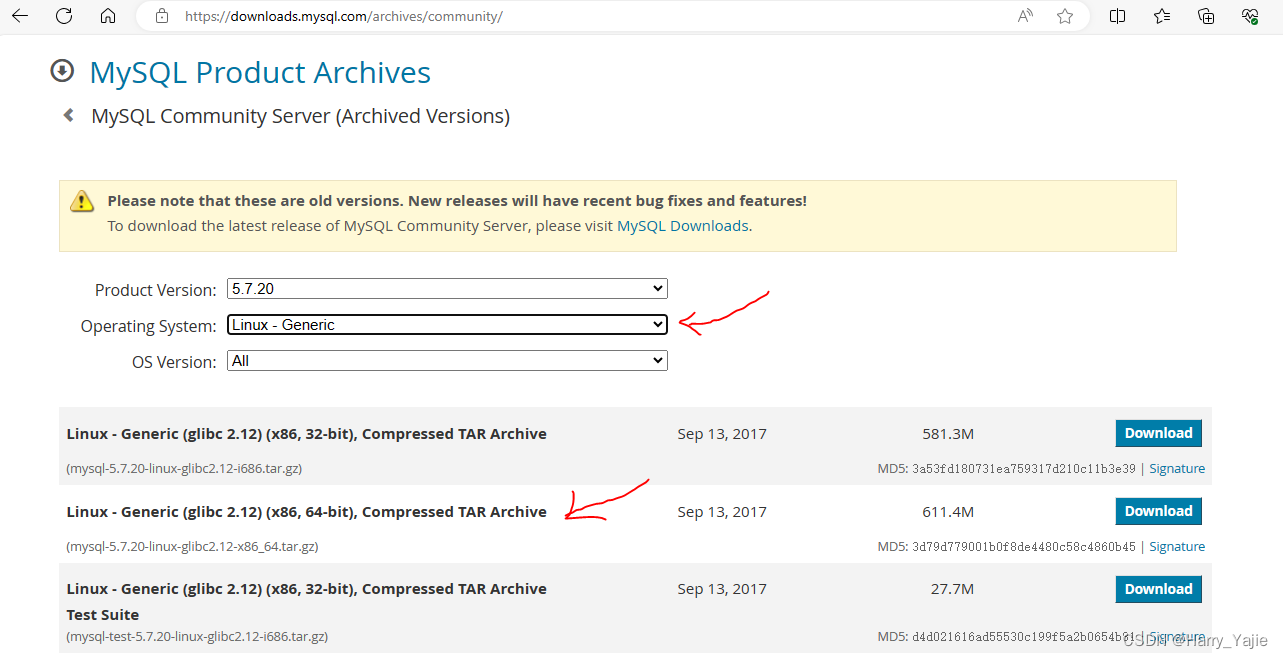 Linux Mysql 5.7.20 tar.gz 解压缩部署教程【亲测可用】_mysql.tar.gz-CSDN博客