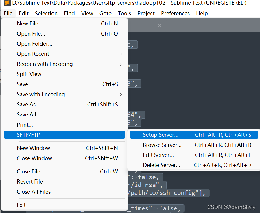 Sublime Text SFTP-CSDN博客