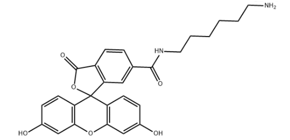 FAM amine, 6-isomer，1313393-44-0，含有纯6-异构体的荧光团，6-FAM NH2_6-fam-氨基化合物(荧光团 ...