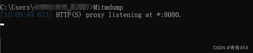 mitmproxy安装和使用-CSDN博客