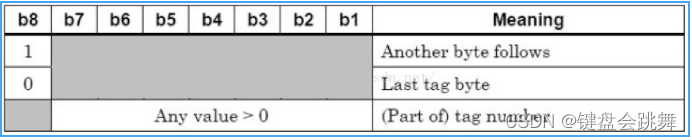 协议茶馆：TLV 格式及编码_tlv格式-CSDN博客