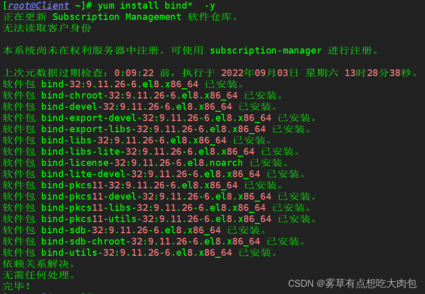 一“见“入门Linux中DNS的正向和反向解析_linux dns正反向解析配置-CSDN博客