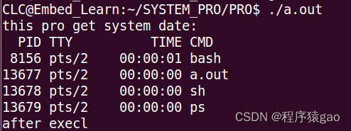 【Linux篇】system函数、popen函数_linux system函数头文件-CSDN博客