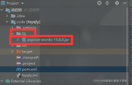 解决Aspose Words依赖问题：本地库与Maven导入指南-CSDN博客