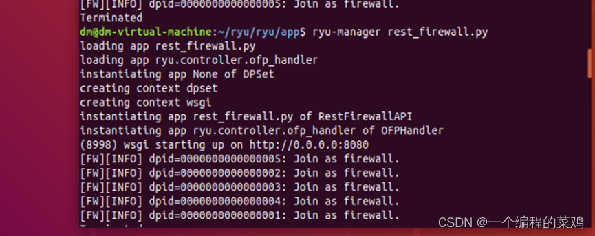 小型网络仿真搭建（防火墙功能）-SDN/Mininet/Ryu/OVS_mininet防火墙功能-CSDN博客
