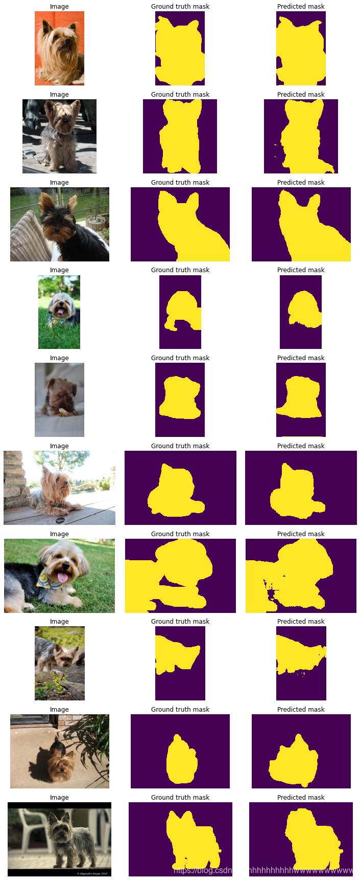 PyTorch 和Albumentations 在图像分割的应用_albumentations 图像分割-CSDN博客