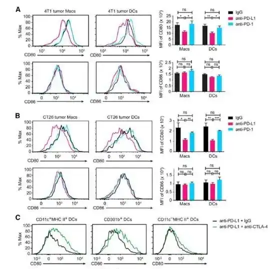 AbMole| 人源化单抗动物实验黄金指南(上)_人源化小鼠肿瘤实验-CSDN博客