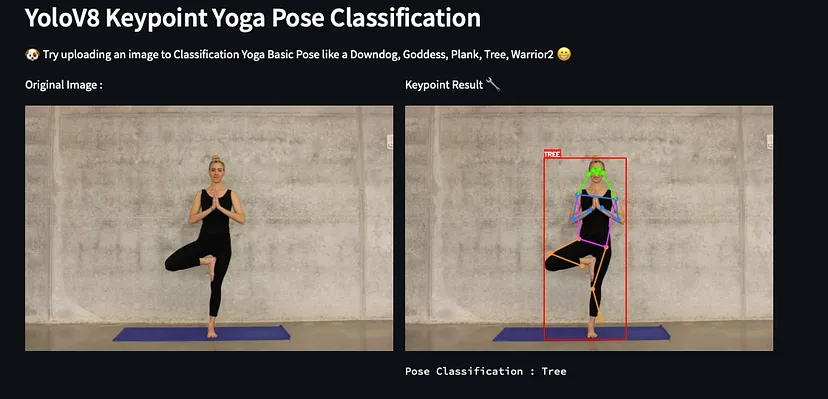 使用PyTorch神经网络和YoloV8识别身体姿势_yolov8 识别高举双手-CSDN博客