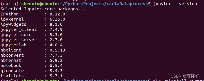 Jupyter Notebook 500 : Internal Server Error-CSDN博客