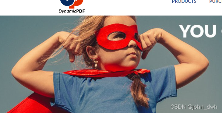 DynamicPDF HTML TO PDF 转换器_dynamic-html 实现类pdf-CSDN博客