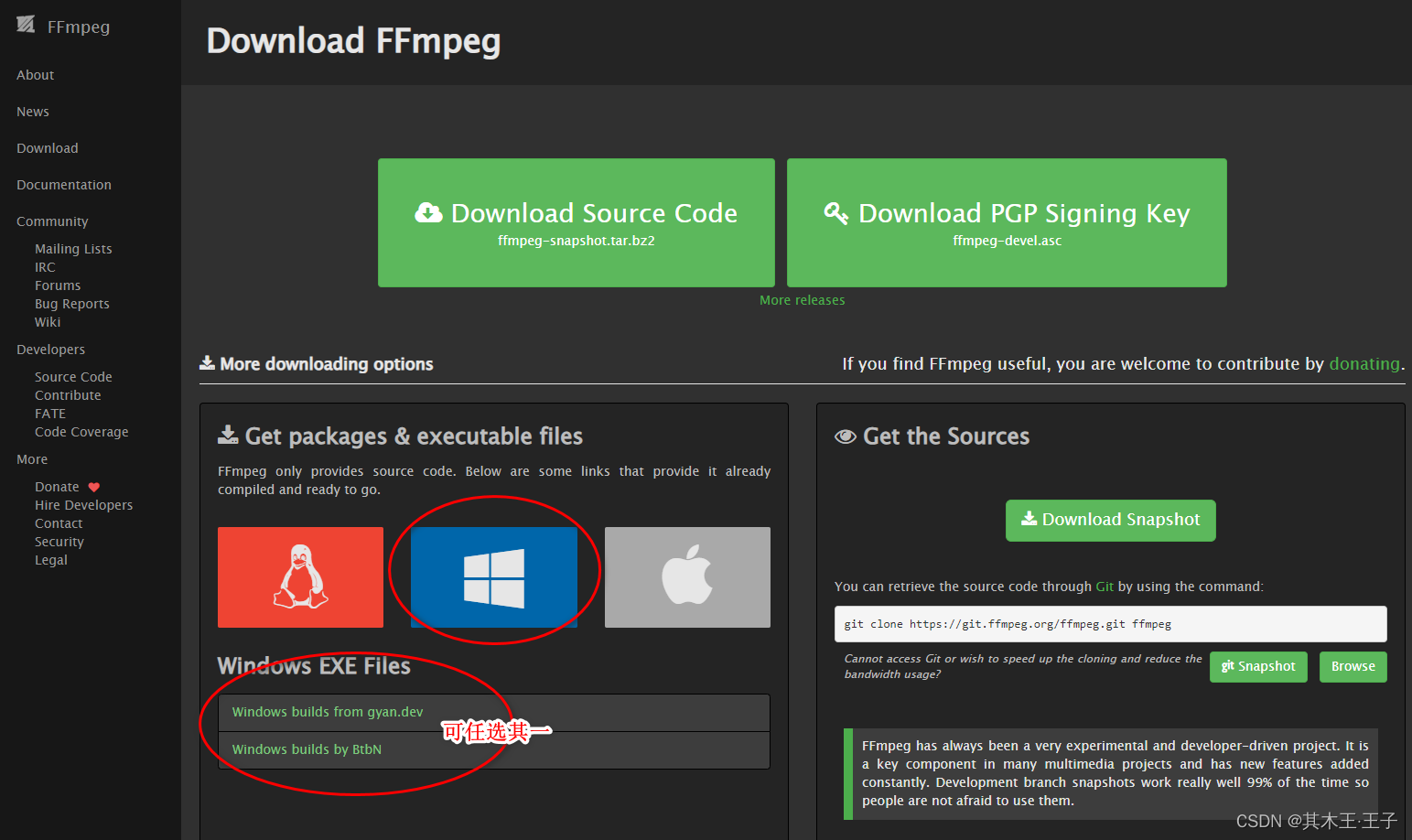 1.FFmpeg（Windows版）安装_git_其木王·王子-AtomGit开源社区