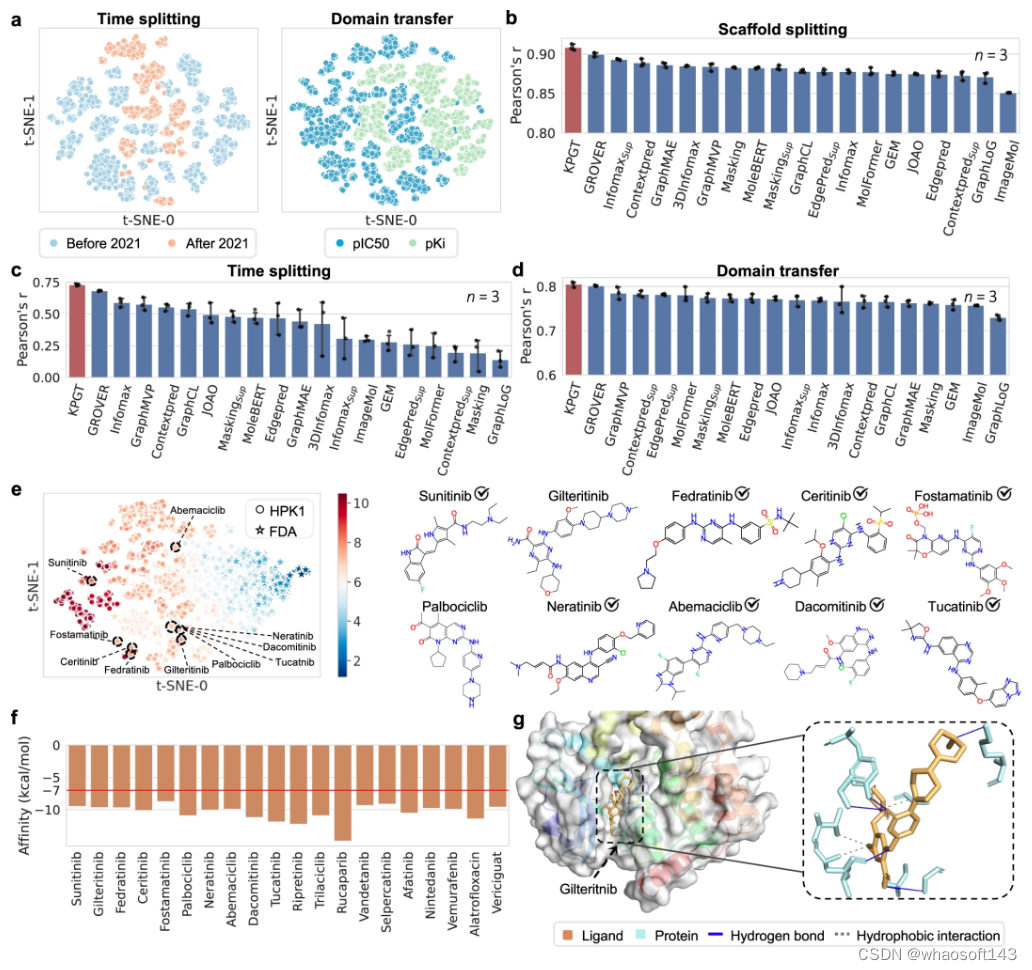KPGT~_kpgt算法复现-CSDN博客