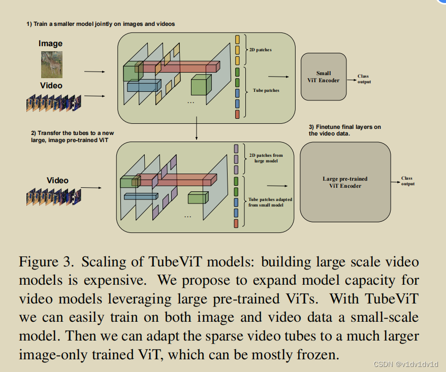 Rethinking Video ViTs: Sparse Video Tubes for Joint Image and Video Learning（TubeViT论文翻译 ...