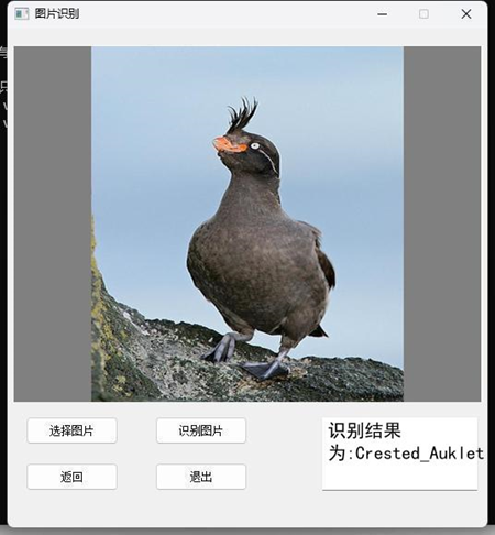 基于python-CNN深度学习的鸟类品种识别-含数据集+pyqt界面_python 鸟识别 带数据集 下载-CSDN博客