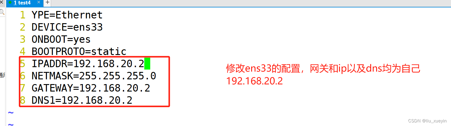 【Linux网络】搭建内外网的网关服务器，实现DNS分离解析与DHCP自动分配_linux 网关服务器-CSDN博客