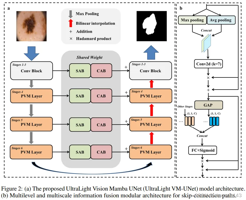 UltraLight-VM-UNet_ultralight vm-unet-CSDN博客
