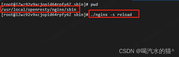 Nginx+Lua+OpenResty（详解及使用）_nginx lua-CSDN博客