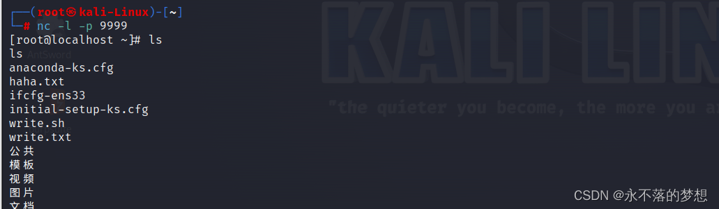 瑞士军刀——Netcat的安装与详细使用-CSDN博客