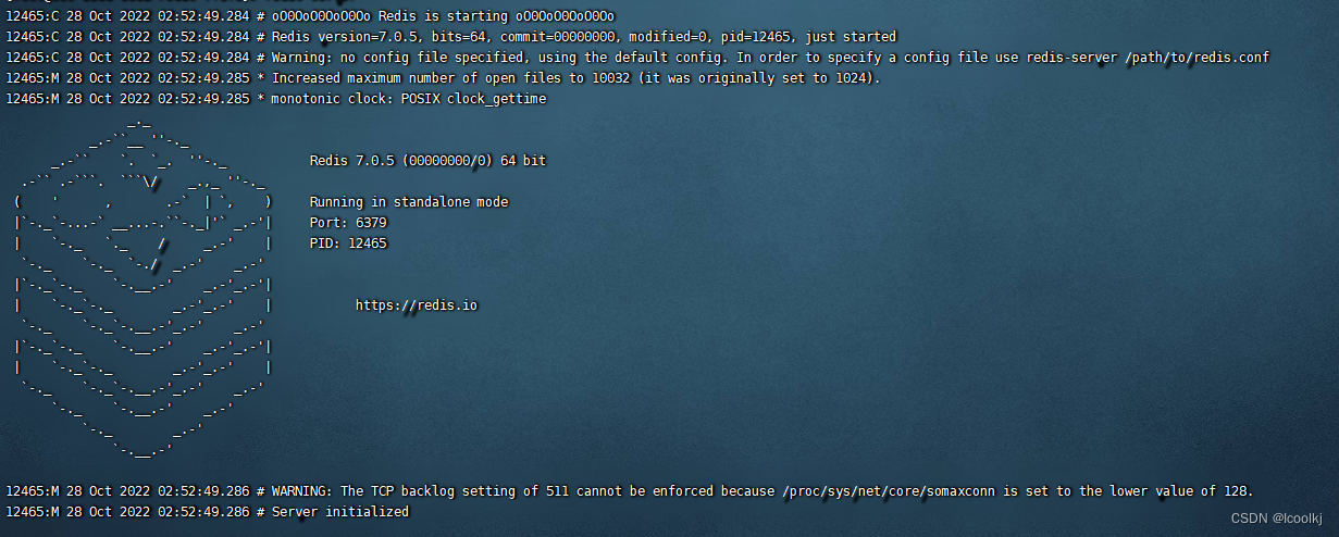 Linux安装Redis_怎么办redis-server 变成全局命令-CSDN博客