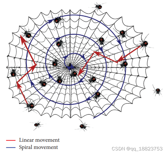 黑寡妇优化算法(Black Widow Optimization Algorithm, BWOA)_黑寡妇算法-CSDN博客