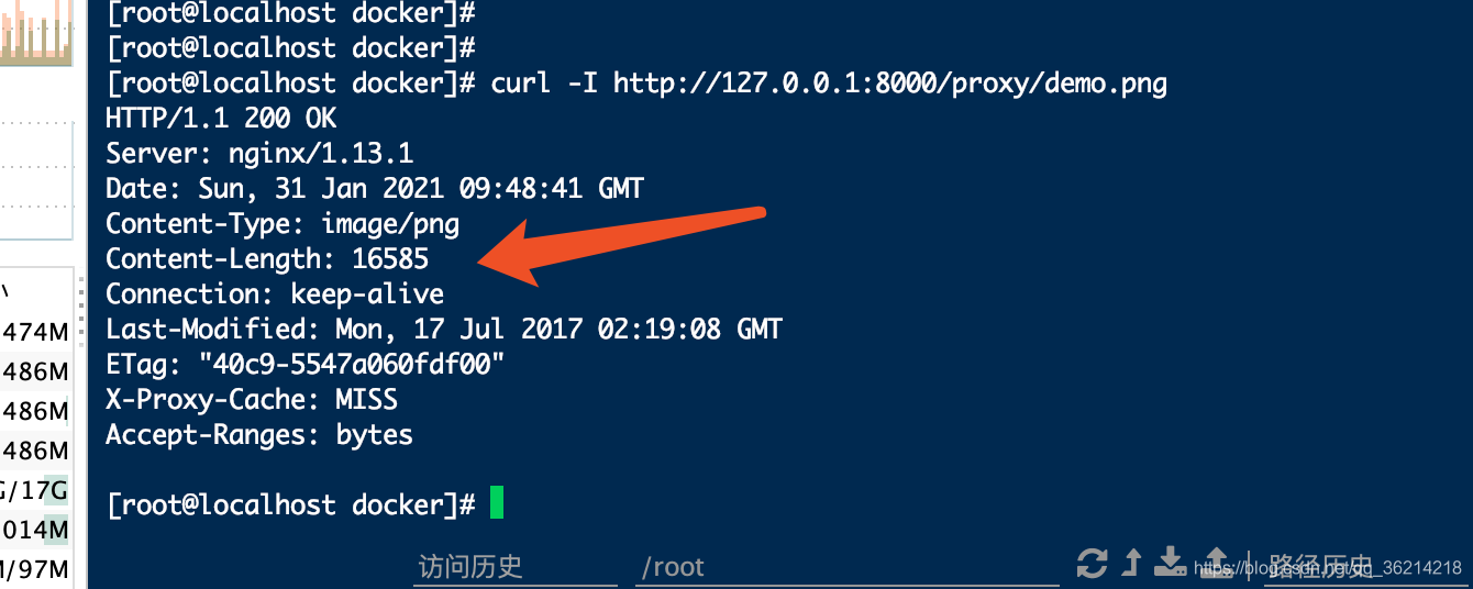 Docker搭建nginx整数溢出漏洞（cve 2017 7529）及python Poc验证nginx整数溢出漏洞 Cve 2017