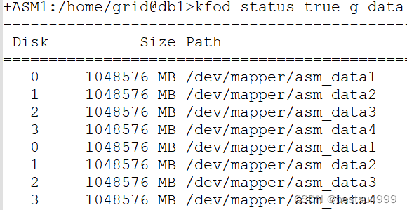 19c ASM命令_kfod disks=all-CSDN博客