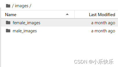 mindspore的ds.ImageFolderDataset读文件，显示数据尺寸是0_跑数据集报错显示图片大小为0-CSDN博客