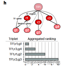 SCENIC+：增强子和基因调控网络的单细胞多组学推理-CSDN博客