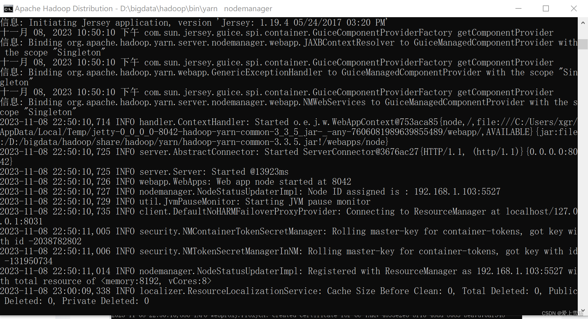 在Windows 10上安装单机版的hadoop-3.3.5_清华大学镜像 hadoop-CSDN博客