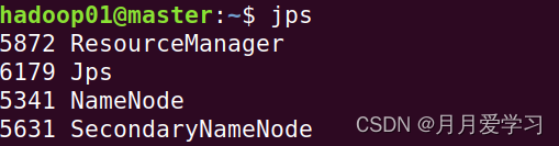 DataNode 和 NodeManager没有成功启动_nodemanager 启动命令-CSDN博客