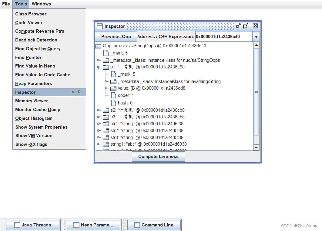 使用jhsdb从内存地址层面理解字符串常量池-CSDN博客