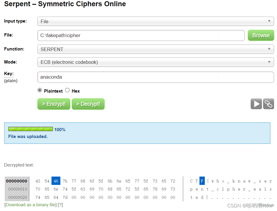 ctf题集【BUUCTF misc】snake_ctf snake-CSDN博客