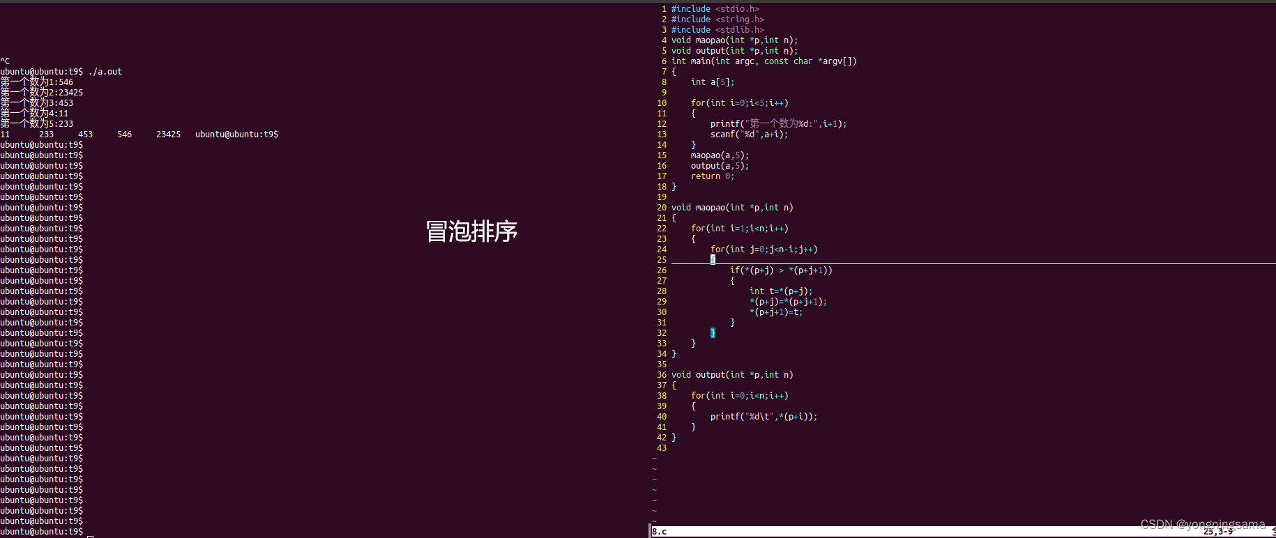 C基础day9-CSDN博客