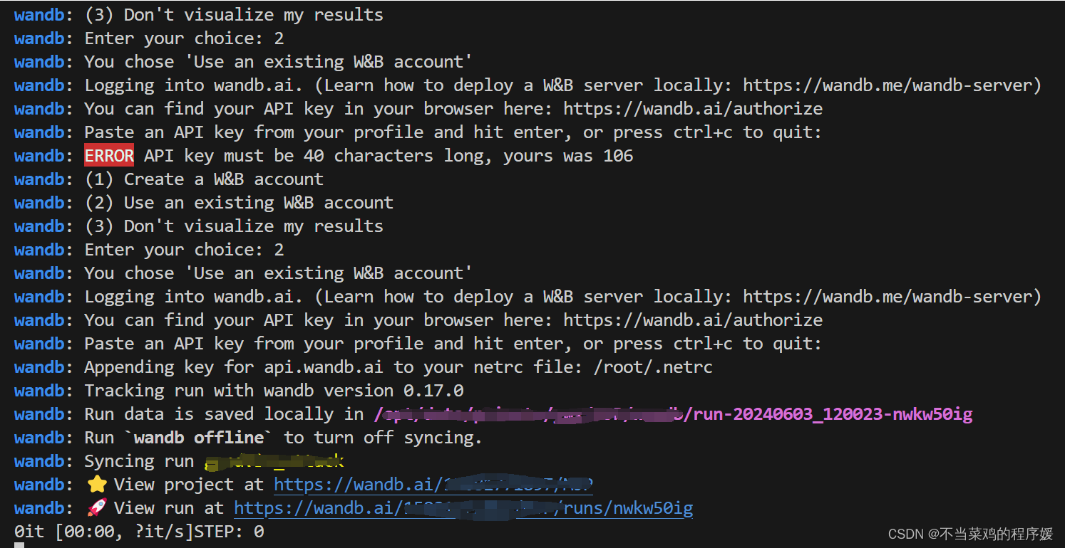 使用wandb可视化训练过程_wandb csdn-CSDN博客