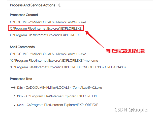 恶意软件分析实战19-shellcode调试逆向Lab19-2_根据实验软件shellcode2020.exe,通过 ollydbg 逆向分析弹出计算器的漏洞利用详-CSDN博客