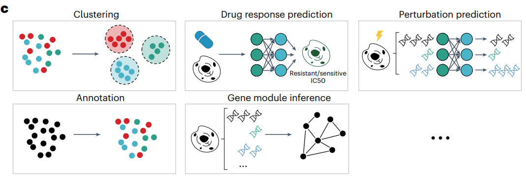 nature methods | 单细胞转录组学的大基础模型scFoundation（宋乐/张学工/马剑竹）_large-scale foundation model on single ...