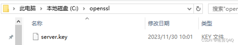 基于openssl和nginx搭建本地服务器(详细实操版)openssl Nginx Csdn博客
