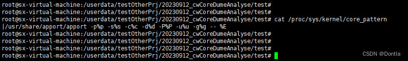 C++ docker核心转储core dump（容器中修改/proc/sys/kernel/core_pattern需开启特权模式--privileged=true）_docker 内部发生了 ...