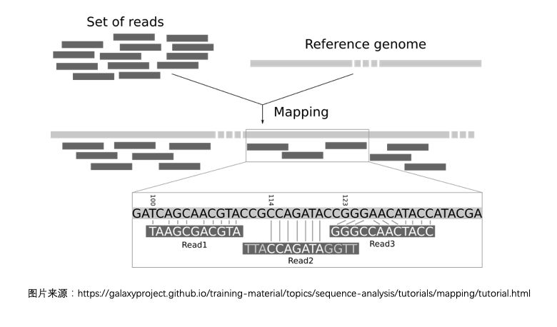 从FASTQ到BAM经历了什么？_fast 可以转bam吗-CSDN博客