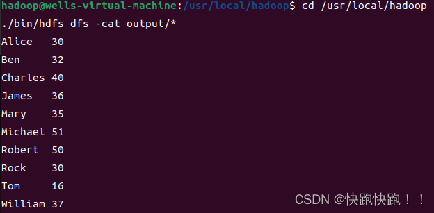 【实践】MapReduce作业+实验二_mapreduce demo任务-CSDN博客